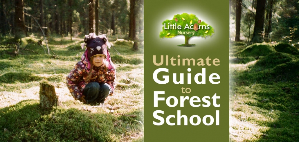 Ultimate Guide To Forest School: learning through discovery in nature