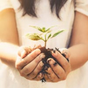 Why Nature is So Important to Children: the benefits & Forest School