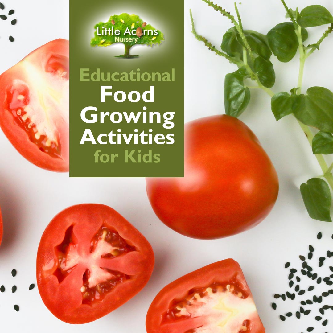 Our EYFS Nursery Curriculum at Little Acorns Nursery, Clayton-le-Woods