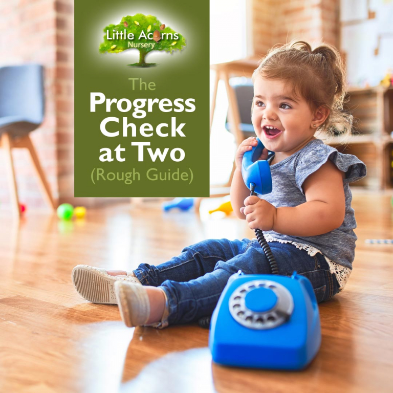 Our EYFS Nursery Curriculum at Little Acorns Nursery, Clayton-le-Woods