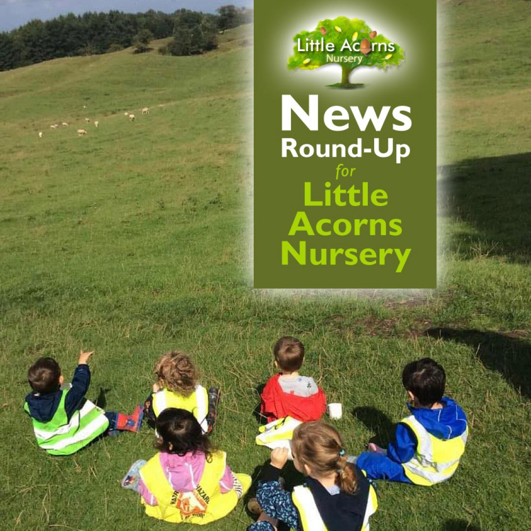 Our EYFS Nursery Curriculum at Little Acorns Nursery, Clayton-le-Woods