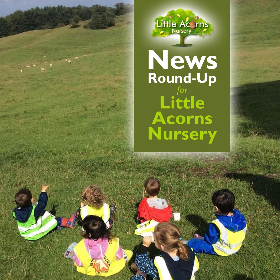 Our EYFS Nursery Curriculum at Little Acorns Nursery, Clayton-le-Woods
