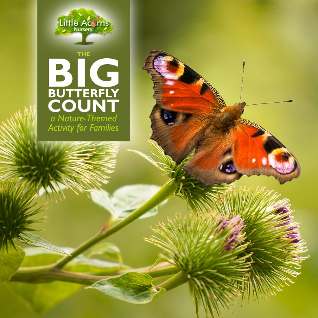 Our EYFS Nursery Curriculum at Little Acorns Nursery, Clayton-le-Woods