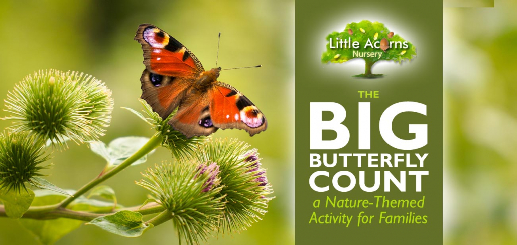 The Big Butterfly Count: a Nature-Themed Activity for UK Families