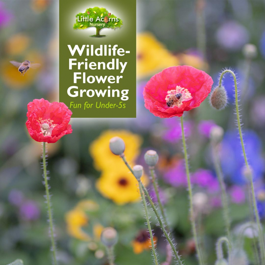 Our EYFS Nursery Curriculum at Little Acorns Nursery, Clayton-le-Woods