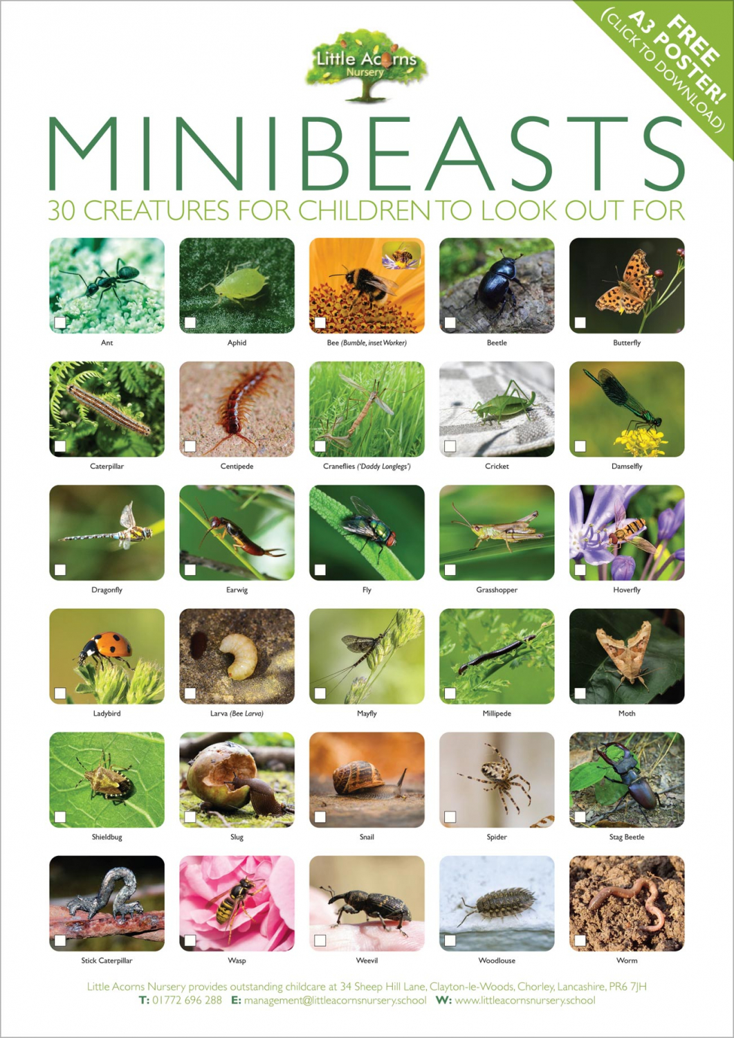 Let’s Find Minibeasts! A Nature Activity for Kids ( With Free Poster!)