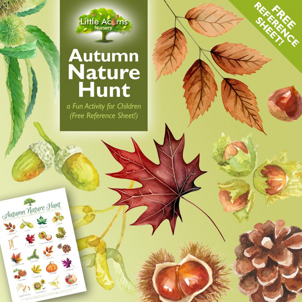 Let’s Find Minibeasts! A Nature Activity for Kids ( With Free Poster!)