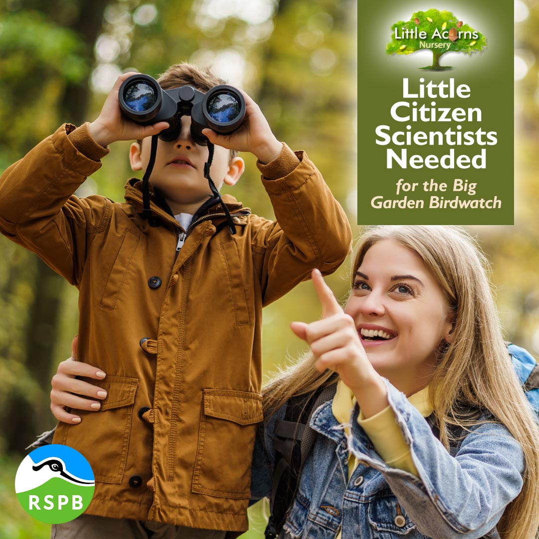 Let’s Find Minibeasts! A Nature Activity for Kids ( With Free Poster!)