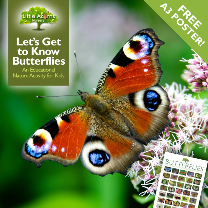 Our EYFS Nursery Curriculum at Little Acorns Nursery, Clayton-le-Woods