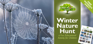 Winter Nature Hunt: a Fun Activity for Children (With Free Poster)