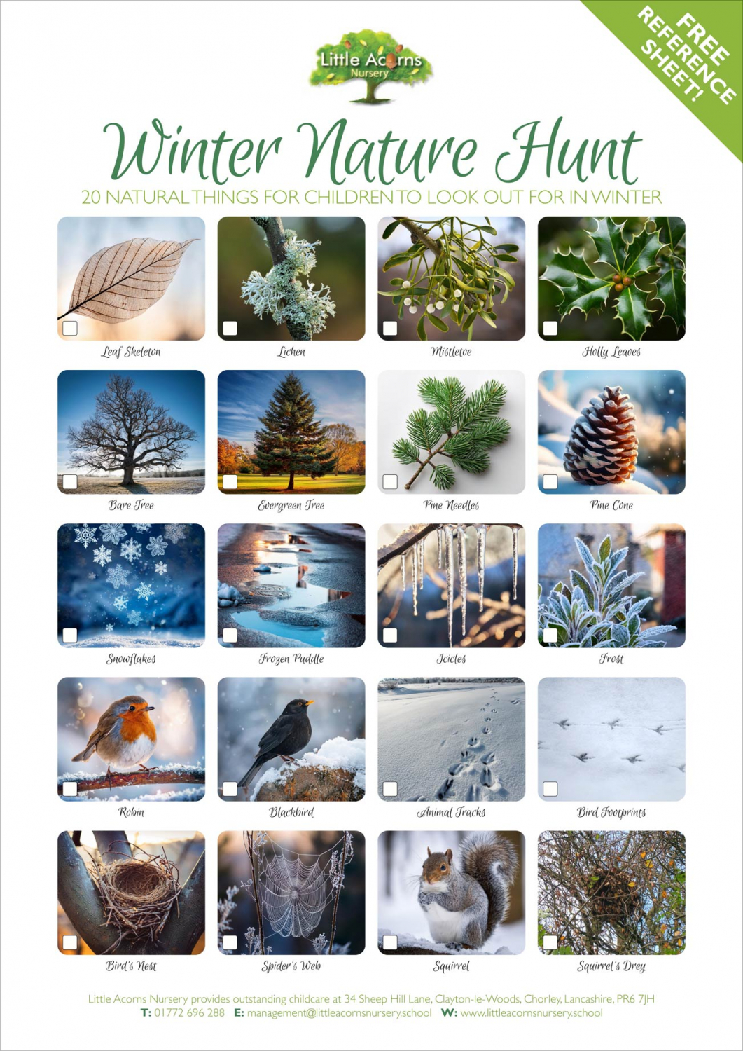 Winter Nature Hunt: a Fun Activity for Children (With Free Poster)