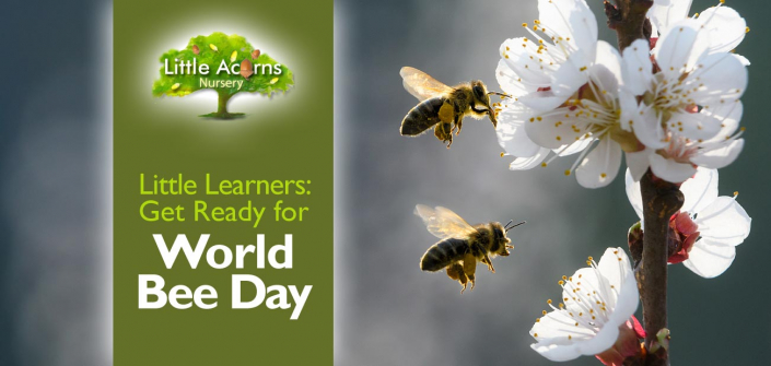 Little Learners: Get Ready for World Bee Day! (20 May 2025)