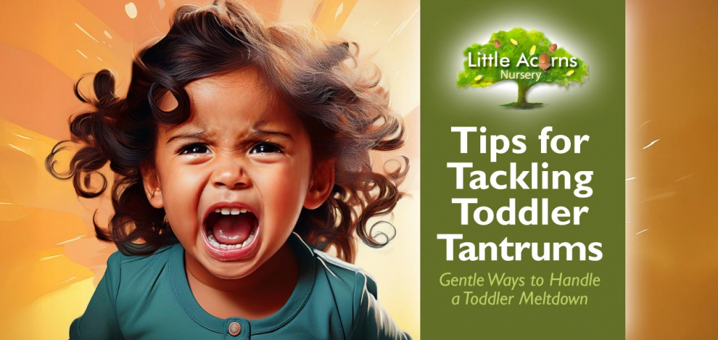 Tips for Tackling Toddler Tantrums: A Guide to Handling a Meltdown