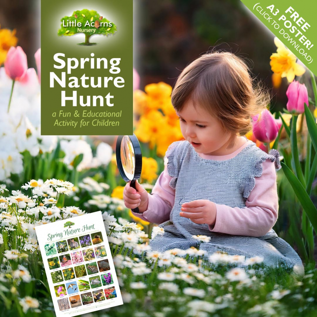 Our EYFS Nursery Curriculum at Little Acorns Nursery, Clayton-le-Woods